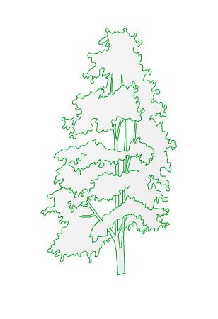 Arbre silhouette 3 3D_YH BIM OBJECT: free BIM file downloads e.g ...
